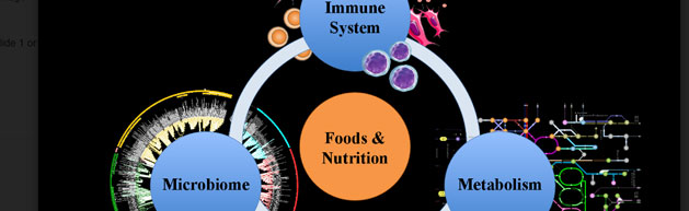 Nutritional Immunology and Molecular Medicine Laboratory